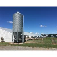 China Modern Q355B Grade Metal Frame Building Poultry Farm Structure Long Life Span for sale