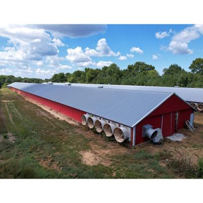 China Q235B Q355B Grade Steel Structure Poultry House Pre engineered Steel Frame Shed for sale