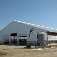China Prefab Metal Horse Barn Fire Resistant Long Lasting Steel Livestock Shed With Gable Roof for sale