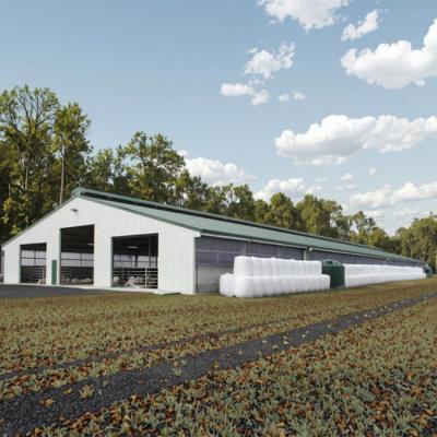 China 0.4mm-0.6mm Sheet Steel Structure Cow Shed Barn Dairy Barns Anti Earthquakes for sale