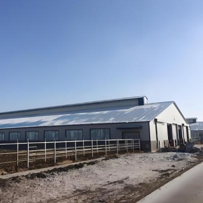 China Weld Steel Structure Cow Shed Construction Temporary Livestock Shelter Fast Installation for sale