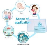 China Disposable OEM 300mm 20GSM Printed PE Film Adult Nursing Pad for sale