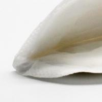 China Overflow Breathable CE SGS ECO Nursing Pads Non Woven Fabric for sale