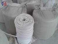 China 16.6KN-296KN Dynema Rope Pilot Wire 13G/M - 247.3G/M Braided Nylon Rope for sale
