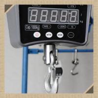 China 50kg-1000kg Electronic Portable Crane Scale LCD or LED Display Hanging Scale for sale