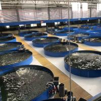 China 1000L-50000L Capacity Low Noise Rotary Drum Filter for RAS System Fish Farming Equipment for sale