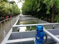 China DAF Dissolved Air Flotation System for Paper Industry Made in 1000L/Hour Productivity for sale