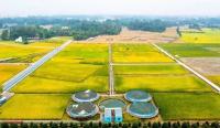 China 1000LPH Capacity Tilapia Aquaculture RAS Recirculating System for Indoor Fish Farming for sale