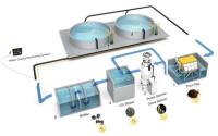 China TPAF01 Automatic Fish Feeder for Aquaculture in Recirculating Pool Water System for sale