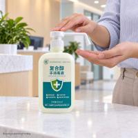 China Compound Alcohol Hand Disinfectant 500ml Pump Bottle with Ethanol and PHMB for sale