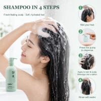 China Mugwort Shampoo 505ml Pump Bottle for Wholesale Hair Care Supply for sale
