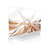 China OEM ODM Transparent OLED Screen , 55 Transparent OLED Display for sale