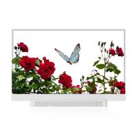 China OEM ODM Transparent OLED Screen , 55 Transparent OLED Display for sale