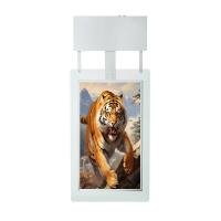 China 55 Inch Digital Signage Window Display High Brightness Advertising Display for sale