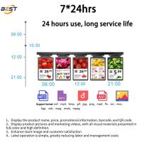 China Full Color Dynamic Video Animated TFT ESL Display for sale