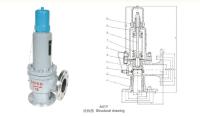 China Low Lift Enclosed Bonnet Safety Valve for sale