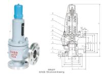 China Bellows Balanced Safety Valve for sale