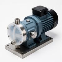China Mechanical Diaphragm Metering Pump for sale