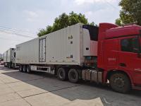China Fuel Saving 4 Cylinders X4 7300 Carrier Refrigeration Units for sale