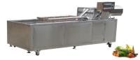 China 1500Kg/h Food Processing Machinery Transmission Net Chain Vegetable Washing Equipment for sale