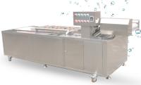 China 1500Kg/h Food Processing Machinery Transmission Net Chain Vegetable Washing Equipment for sale