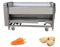 China 800kg/h Food Processing Machinery , Brush Industrial Peeling Machine for sale
