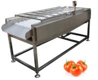 China 500kg/h Food Processing Plant Equipment , Vegetable Fruit Brush Washer for sale