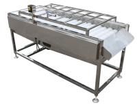 China 500kg/h Food Processing Plant Equipment , Vegetable Fruit Brush Washer for sale