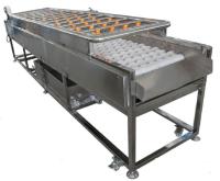 China 3.35KW Food Processing Machinery , 1000kg/h Spray Cleaning Machine for sale
