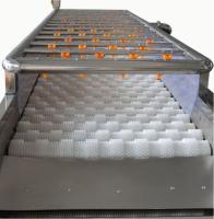 China 3.35KW Food Processing Machinery , 1000kg/h Spray Cleaning Machine for sale