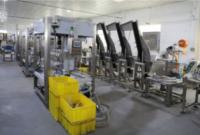 China 20KW Bottle Filling Capping Machine , 1.2T Automatic Shrink Wrapping Machine for sale