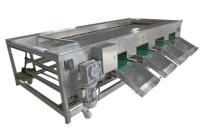 China 2000kg/h Food Processing Machinery , Vegetable Fruit Sorting Equipment for sale
