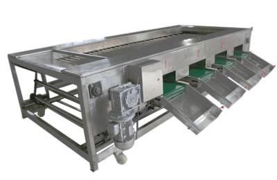 China 2000kg/h Food Processing Machinery , Vegetable Fruit Sorting Equipment for sale