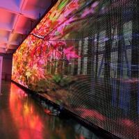 China Lionled P15.6-31.25 Outdoor Transparent LED Display 6000-7500 Nits IP67 Protection for sale