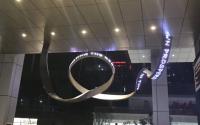 China Lionled P1.25 Indoor Flexible LED Display for Curved Buildings - 1.25mm Pixel Pitch High Resolution for sale