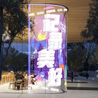 China LionLED P8 Indoor Flexible Transparent LED Display - 8mm Pixel Pitch, 6000 Nits Brightness for Glass Windows for sale