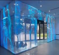 China LionLED P4-8 Indoor Flexible Transparent LED Display for Glass Windows - P4.8mm Pixel Pitch with High Transparency for sale
