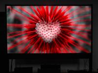 China Lionled COB P1.25 Indoor HD Fixed LED Display with 1.25mm Pixel Pitch and Advanced COB Technology for sale