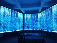 China Lionled P3.91-7.81 Indoor Transparent LED Display for Glass Windows - 800-8000 cd/m² Brightness, 500×1000mm Cabinet for sale