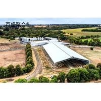 China Metal Building Steel Structure Customized For Cattle Cow Shed / Sheep Shed / Piggy House for sale