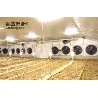 China Multi Floor Large Scale Chicken Coop Shed Farm House Warehouse with Aluminum Alloy Window for sale