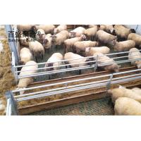 China Prefabricated Barns for Cattle Horses Goats and Sheep Fast Build Steel Structure for sale