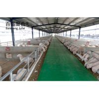 China Aluminum Alloy Window Prefab Steel Construction Agricultural Building for Cattle Barn for sale