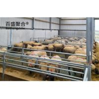 China Prefab Steel Structure Sheep Shed Farm Building Design made of Q235 Low Carbon Steel for sale