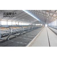 China ISO9001 2008/CE/BV Certified Prefabricated Steel Beams H Beams Livestock Shed for Cow for sale