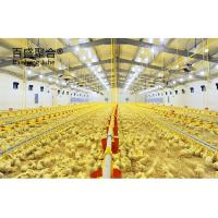 China Steel Farming Livestock Shed Poultry House Chicken Shed with Tolerance ±1% for sale