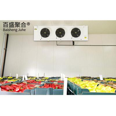 China Aluminum Alloy Window Cold Room for Storing Corrosive Durian Fresh Fruits in Capacity for sale
