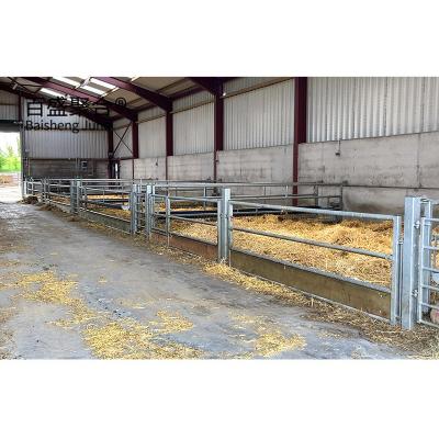 China Prefabricated Hot Dip Galvanised Steel Structure Barn Shed for Cow Chicken Sheep for sale