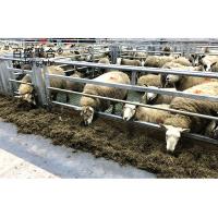 China Hot Dip Galvanised Prefabricated Sheep Shed Building for Withstand Harsh Weather for sale