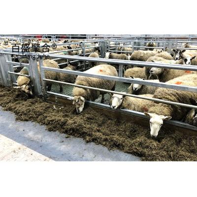 China Hot Dip Galvanised Prefabricated Sheep Shed Building for Withstand Harsh Weather for sale